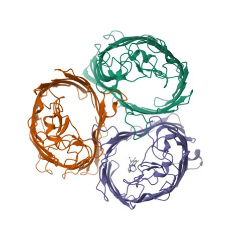 Rcsb Pdb 4kra Salmonella Typhi Ompf Complex With Ciprofloxacin