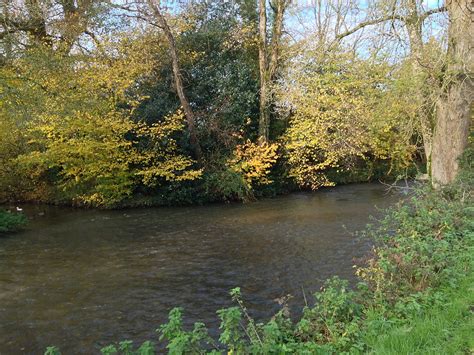 The River Nadder