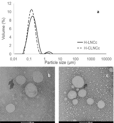 A Particle Size Distribution Obtained By Laser Diffraction Of The Download Scientific Diagram
