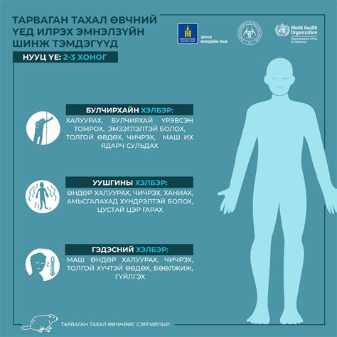 Эрүүл Мэндийн Яам