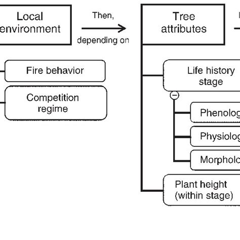 Diagram Illustrating The Hierarchical Relationship Between