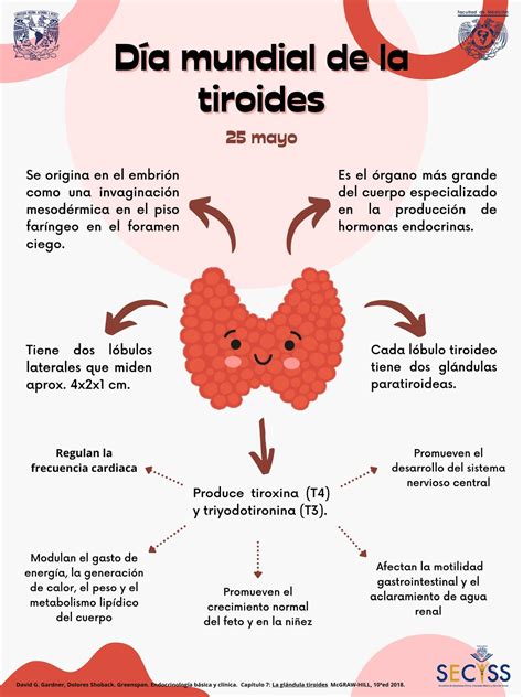 Según Datos De La Oms Son Más De 750 Millones De Personas En El Mundo