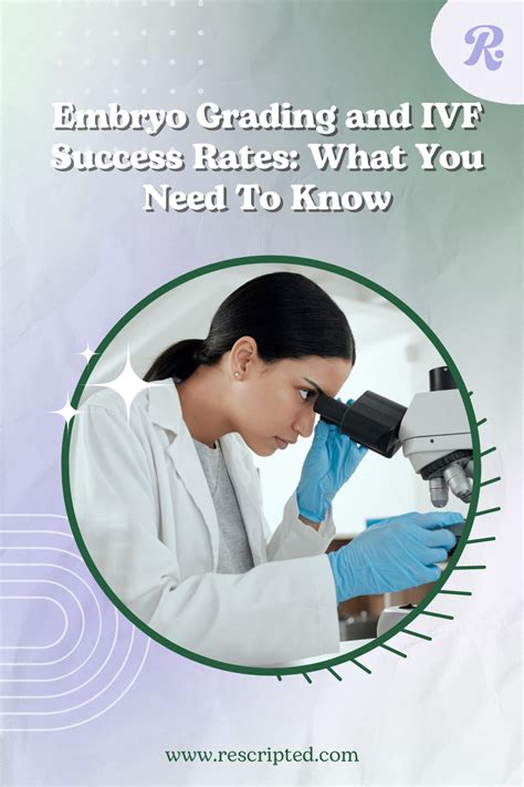 Best 10 Embryo Grading And Ivf Success Rates What You Need To Know