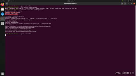 边缘计算机jetson Agx Orin配置pytorch和yolo11使用jetson Agx Orin Yolo Csdn博客