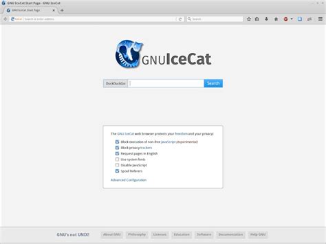 Best Lightweight Browsers For Raspberry Pi
