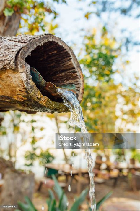 천연 나무 나무 분수입니다 바위 개울에서 나무 배수로에서 흘러 나오는 산샘 자연 국립 공원이나 정원에서 나무 또는 나무에서 조각 물 분수 Satoyama Scenery에