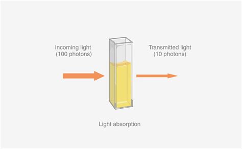 Od Absorbance And Transmittance Key Concepts In Spectrophotometry