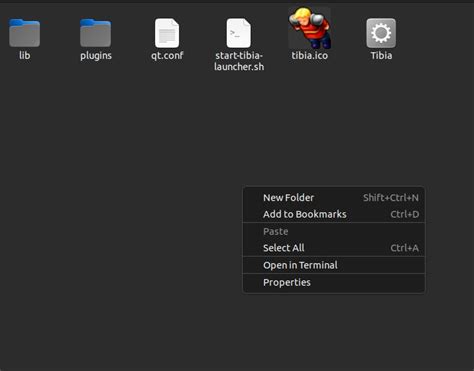 Install Tibia On Ubuntu 22 04 Jcastaneda