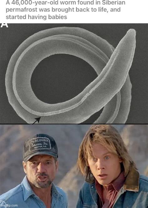 Graboids R Memes
