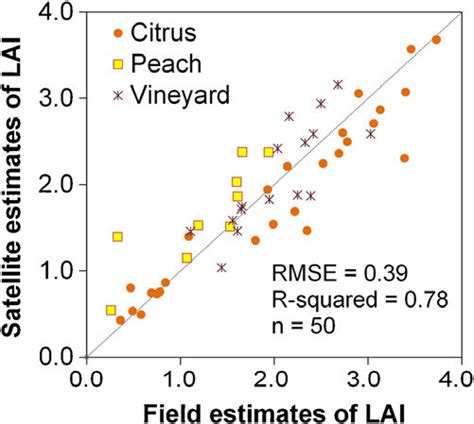 Comparison Of Satellite Based Estimates Of Lai Vs Field Measurements Download Scientific