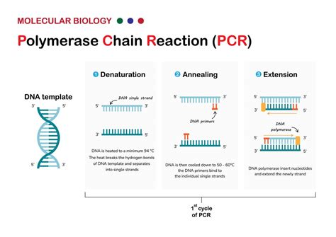 A Deep Dive Into The Technology Of Pcr Machines Misumi Mech Lab Blog