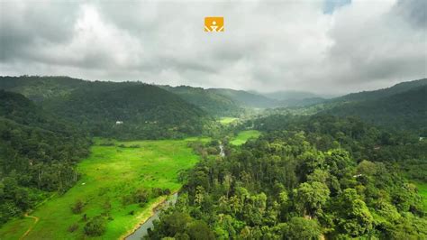 Sandip Sonone On Linkedin Go Green 🌳initiative To Keep Our Nature Green And Sustainable🌳