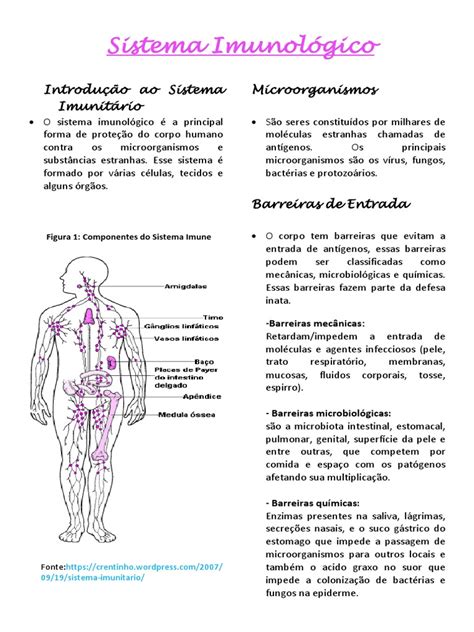 Resumo Sistema Imunologico Pdf Sistema Imunológico Glóbulo Branco