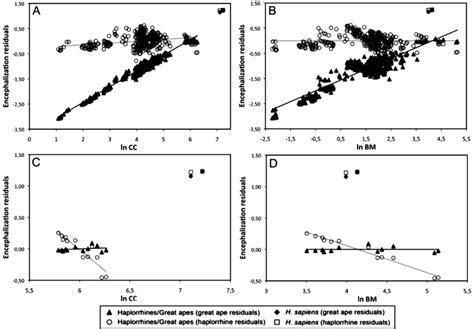 Relationships Between Encephalization And Brain Size A C And Download Scientific Diagram