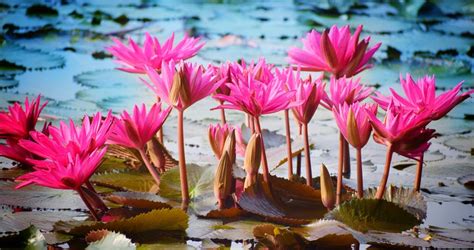 শিক্ষক বাতায়ন