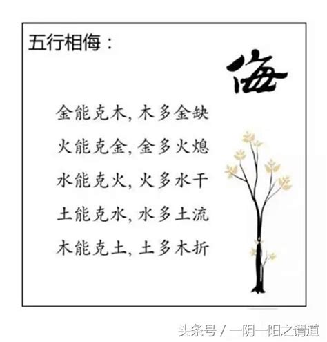 學習易經預測最基本的五行基礎知識值得收藏 每日頭條