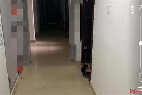 女子自曝经常遭邻居大叔趴地偷窥？物业称双方有矛盾曾互相投诉劝说无果 警方介入对方女士红星