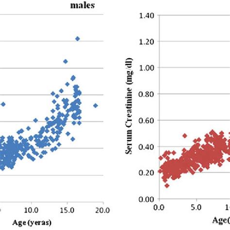 Correlations Between Serum Cr Concentration And Age In All Subjects Download Scientific Diagram