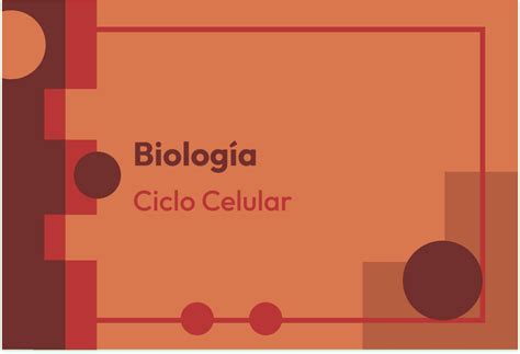 Capítulo 05 Ciclo Celular Hatun