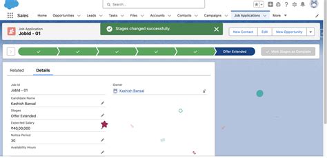 Path Setting In Salesforce With Example Salesforce Geek