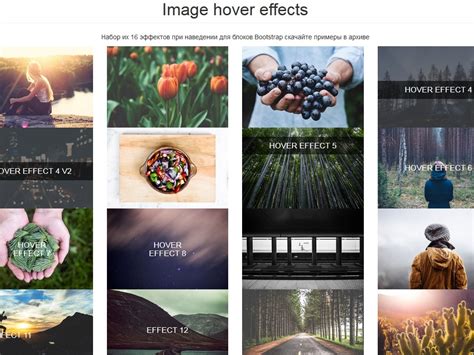 Image Hover Effects Эффекты Сниппеты Bootstrap BootstrapТема