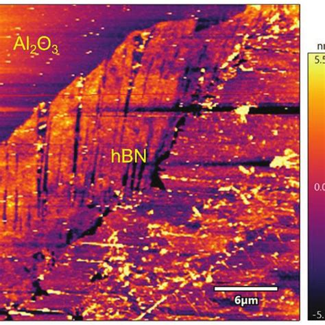 Afm Image Of Wet Transferred Hexagonal Boron Nitride Hbn On Aluminum Download Scientific