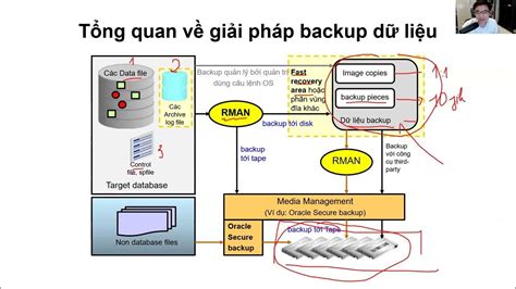 Buổi 14 Backup Trần Văn Bình Oracle Database Master Youtube