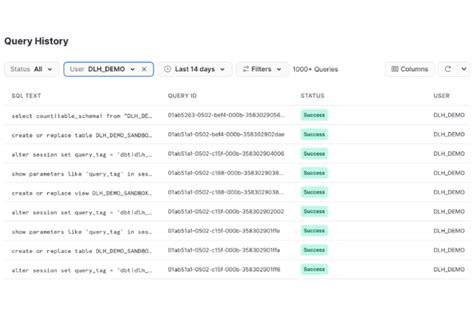 Snowflake Usage Analytics Boasts A 300 Increase In Visibility