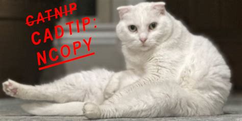 cad tip ncopy autodesk community