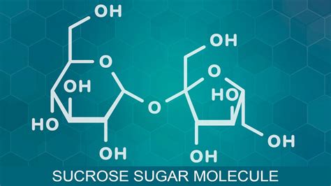 Organic Compounds List And Uses