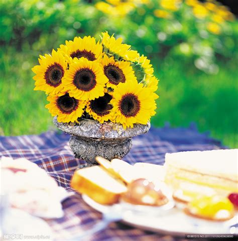 精美插花摄影图 花草 生物世界 摄影图库 昵图网