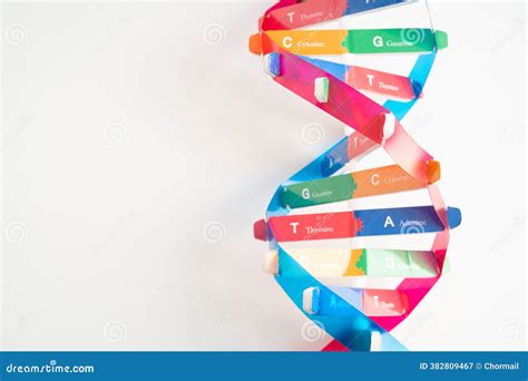Dna Or Deoxyribonucleic Acid Is A Double Helix Chains Structure Formed