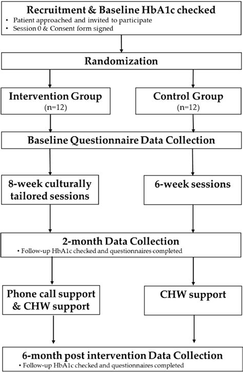 The Randomization Process Download Scientific Diagram