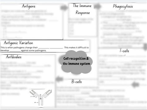 Cie A Level Biology Notes Cell Structure