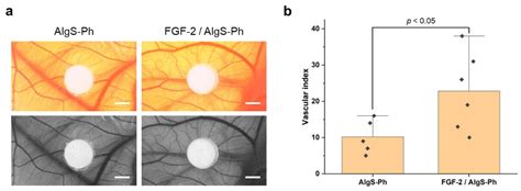 Phenol Grafted Alginate Sulfate Hydrogel As An Injectable Fgf 2 Carrier