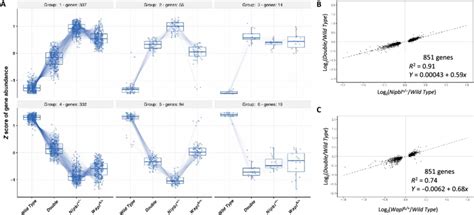 Rescue Of Overlapping Transcriptome Defects In Wapl Nipbl − Download Scientific Diagram