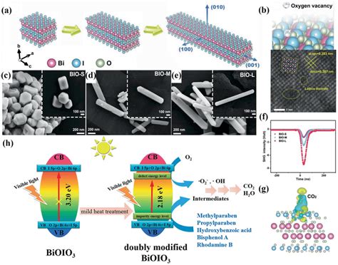 A Schematic Illustration For The Morphology Evolution For Bio‐x X