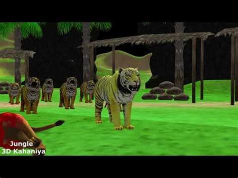 Jungle Ka Raja Sher Viral Long Video Youtube