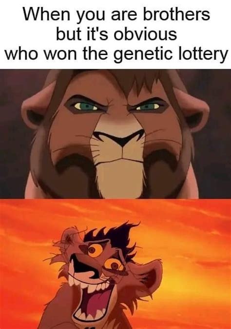 ‘womens Humor 50 Hilarious Posts For Those That Need A Little Pick