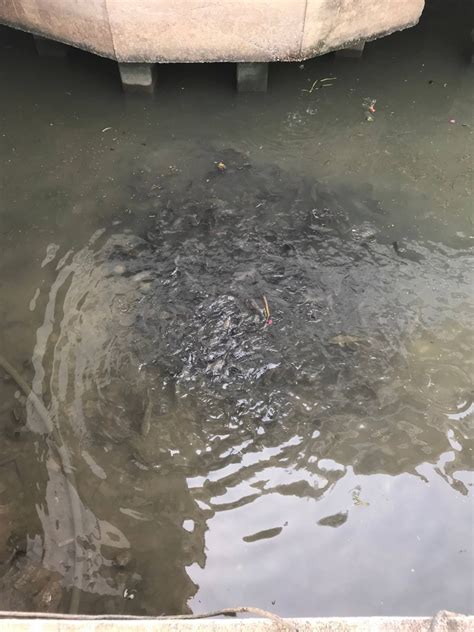 รูป วัดกู้ พระนางเรือล่ม