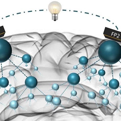 The Flow Diagrams Of Inductive And Deductive Reasoning Download