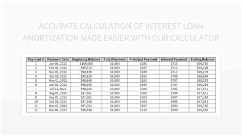 Accurate Daily Interest Calculation With Amortization Calculator Excel