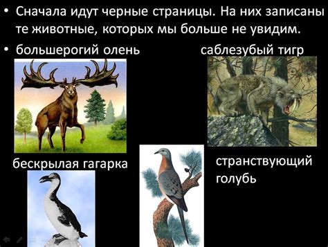 Красные страницы красной книги россии животные фото и описание