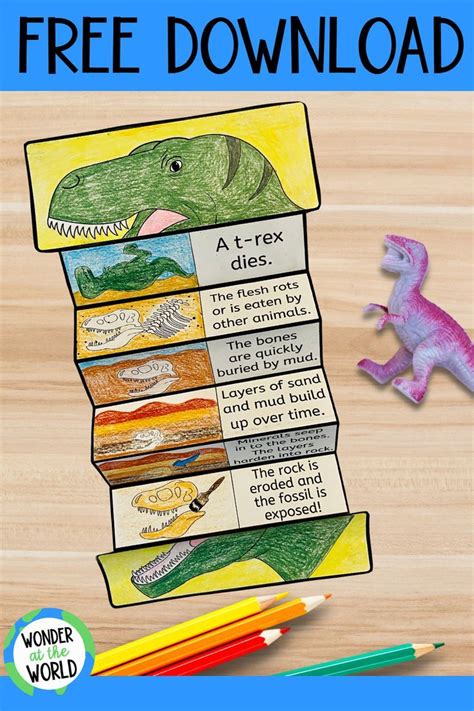 Free Dinosaur Fossil Foldable Activity Dinosaur School Activities