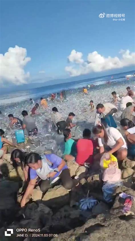 墨宝的沙丁鱼风暴，冷冷的冰鱼在我脸上拍啊 24vs直播