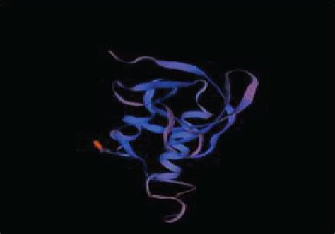 Protein Structure Exonic Region Of S Aureus Nuc Protein Download