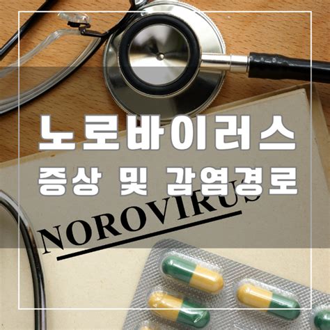 겨울철 발생하는 노로바이러스의 감염 경로와 원인 예방 법에 대해 알아보자