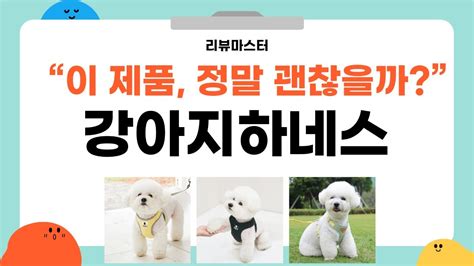 가성비 좋은 강아지하네스 리뷰 Best 5 리뷰마스터의 추천템 Youtube