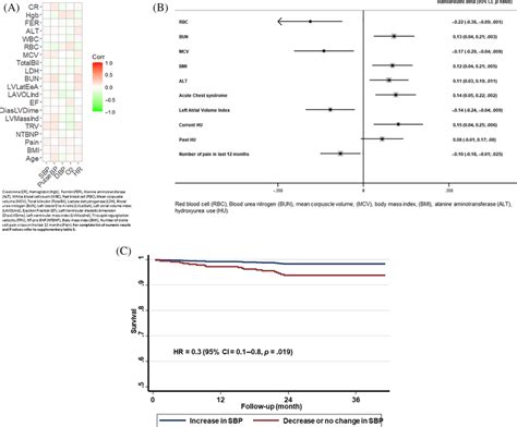a correlogram of univariate association between continuous variables