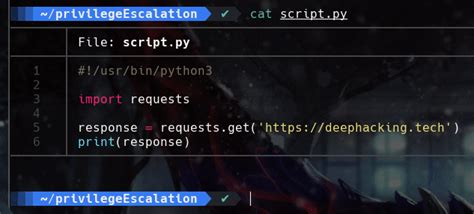 Path Hijacking Y Library Hijacking Deep Hacking